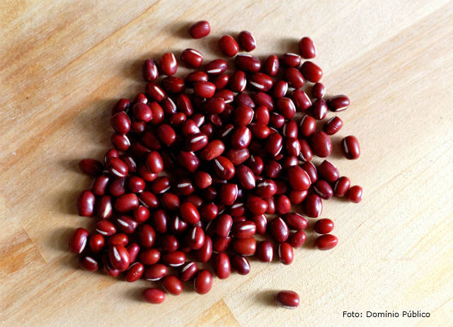 Conheça o feijão Azuki - iguaria da culinária oriental | Indústria ...