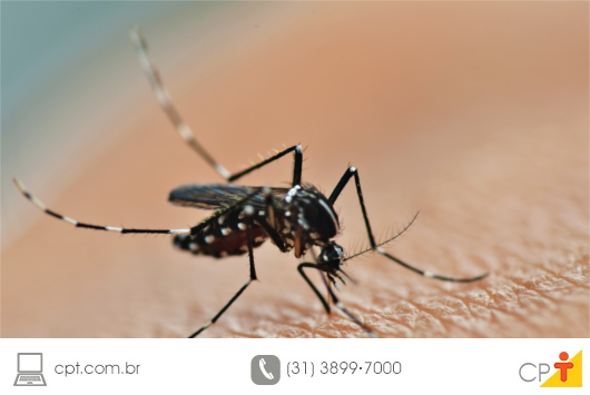 Zika, Chikungunya e Dengue - sintomas, tratamento e combate ao mosquito | Cursos a Distância CPT