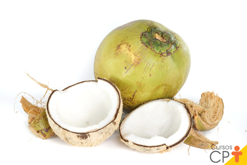 Casca de coco. Como aproveitar? | Dicas Cursos CPT | Cursos a Distância CPT