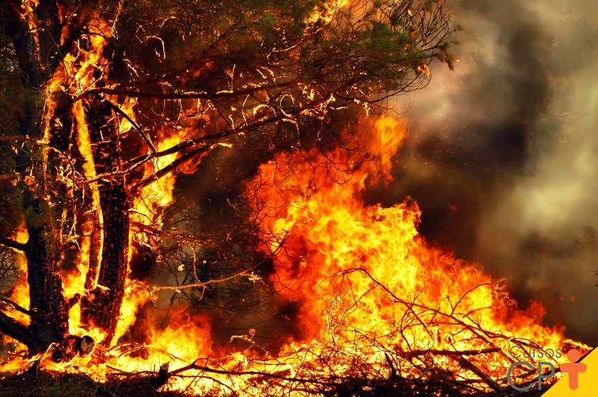 Como a umidade relativa do ar influencia o fogo em queimadas? | Dicas ...