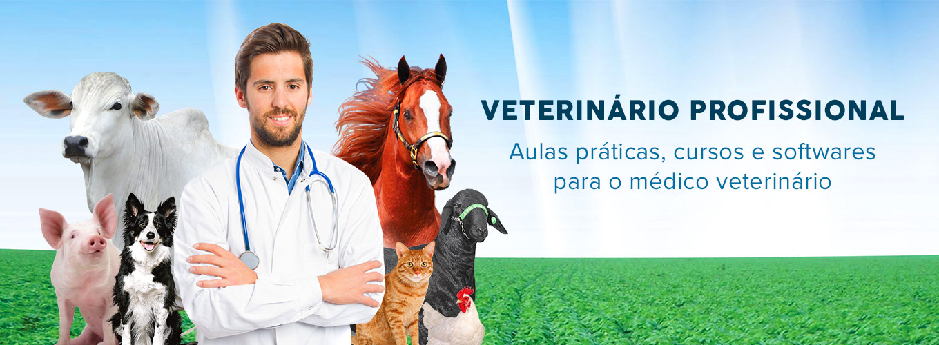Conheça um pouco mais sobre o VET Profissional | VET Profissional