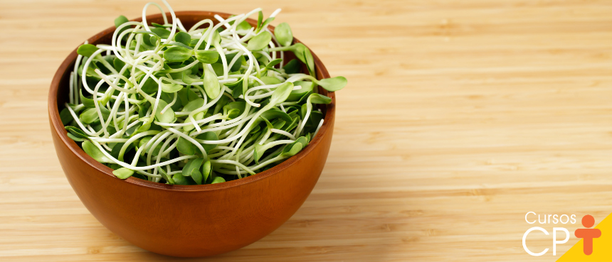 Produção de brotos comestíveis | Cursos a Distância CPT