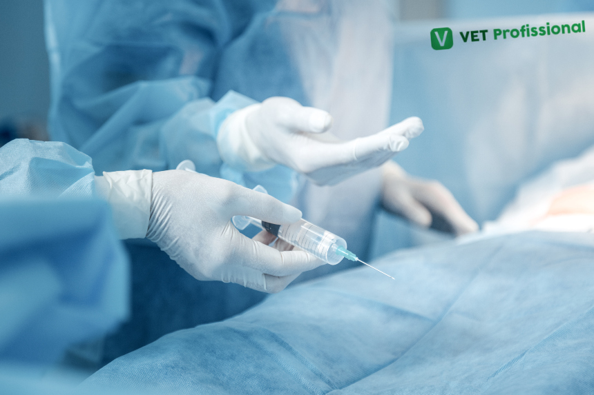 Nova disciplina VET Profissional: Anestesiologia Veterinária | VET ...