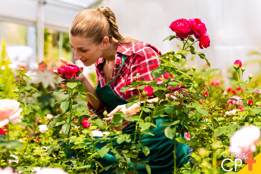 Conheça espécies de flores perfumadas para você ter em casa | Cursos a ...