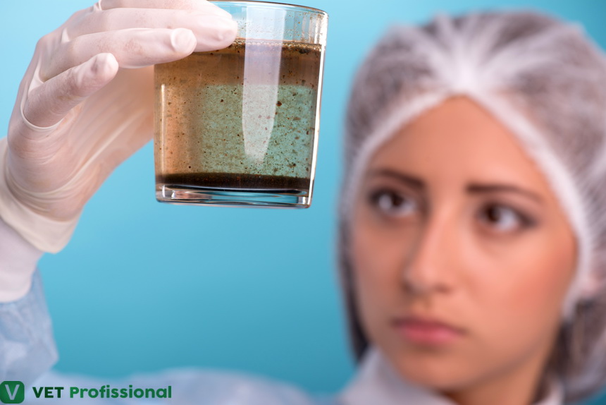 Coliformes fecais na água? O que significa? | VET Profissional