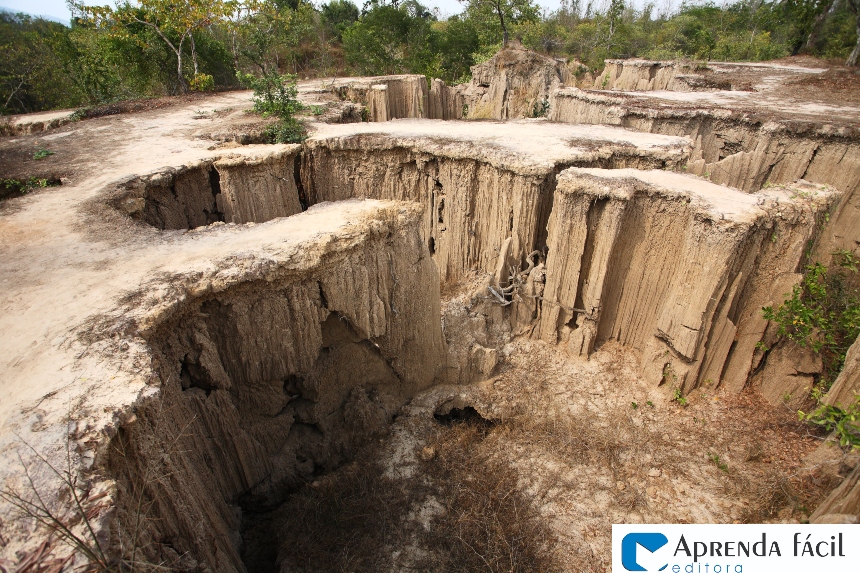 O que são e por que existem áreas degradadas? | Aprenda Fácil Editora - AFE