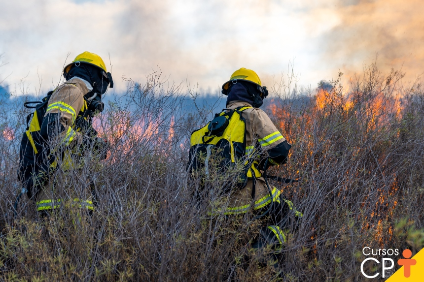 Dicas para brigadistas de incêndio | Cursos a Distância CPT