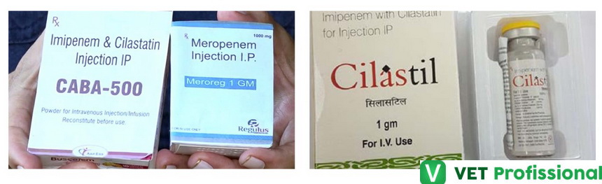 Carbapenêmicos ou carbapenemas: principais características desse ...