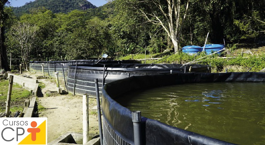 Sistema De Recirculacao De Aquicultura Sistema De Recirculação