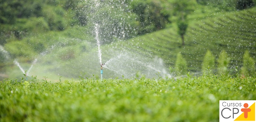 Manejo de irrigação. Você sabe o que é isso? | Cursos a Distância CPT