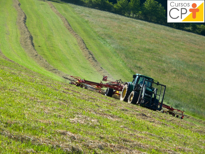 Cultivo em contorno como alternativa para controle de erosão | Produção ...