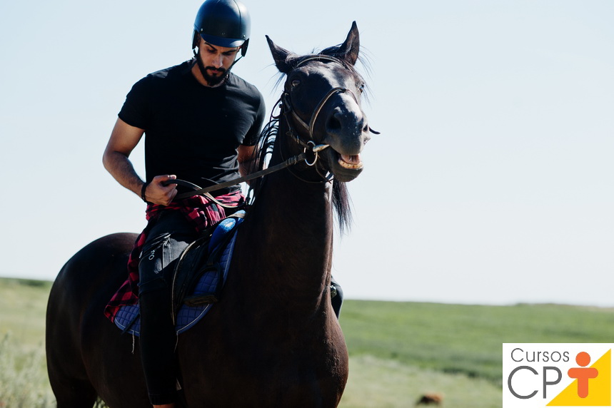 Treinamento de rédeas para cavalos atletas? Sim! | Artigos | Cursos a ...