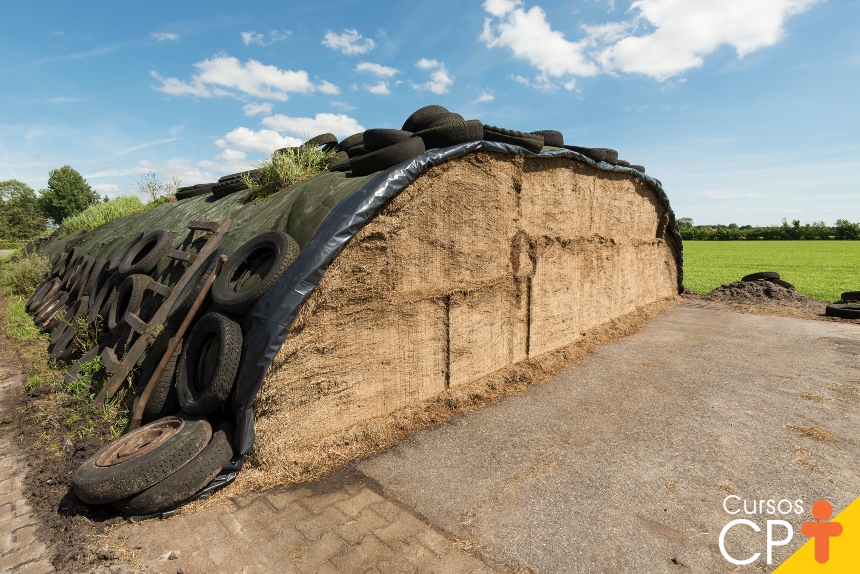 Silagem: quais as fases do processo de ensilagem? | Cursos a Distância CPT