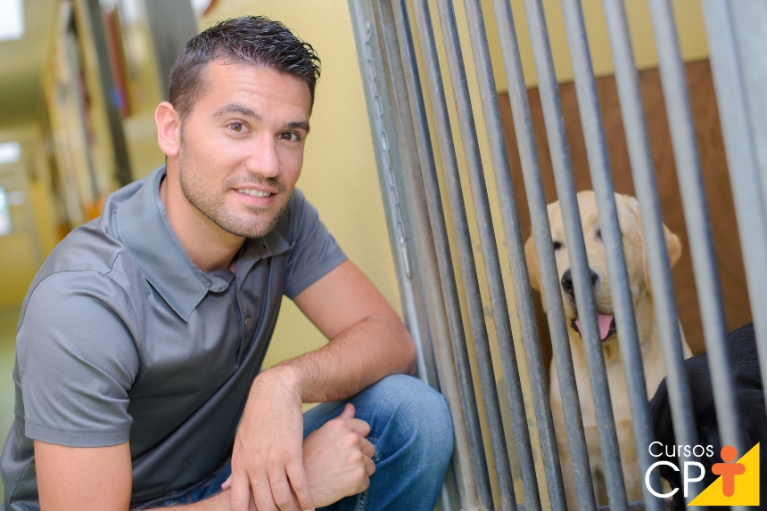 Cão com Spirocerca lupi? Saiba o que acontece | Artigos | Cursos a ...