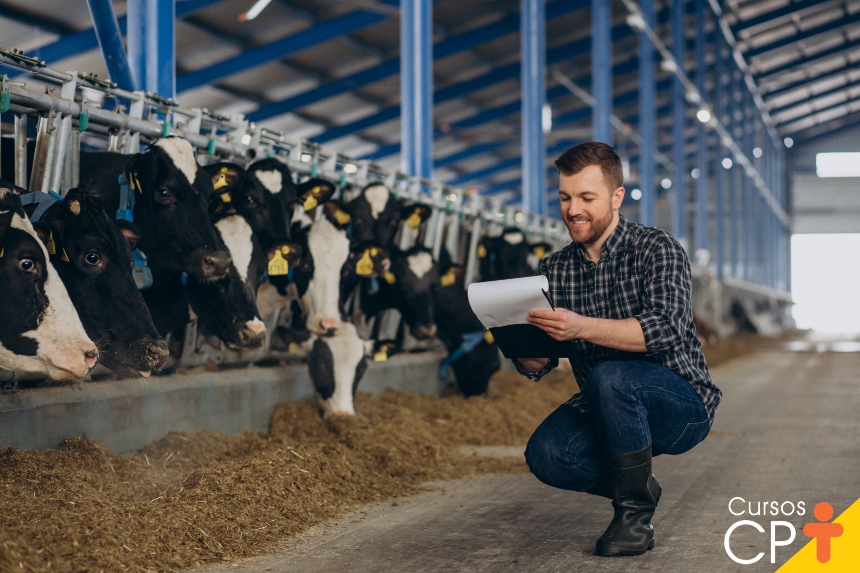 Qual o papel da genética na alimentação animal? | Portal Agropecuário