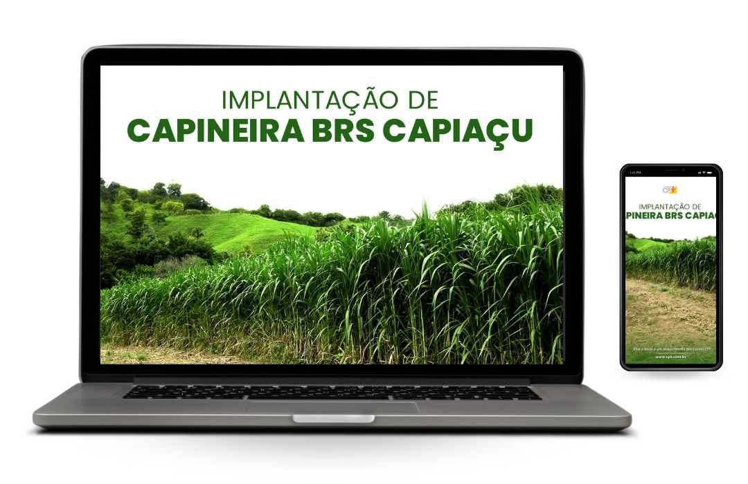 E-book implantação de capineira BRS capiaçu - Cursos CPT
