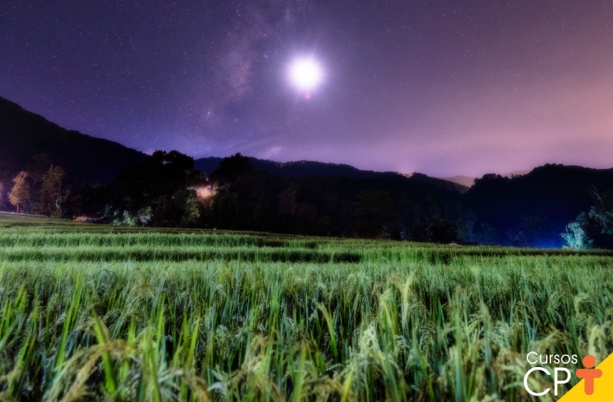 Qual é a melhor época de plantar? Pergunte à lua! | Cursos a Distância CPT