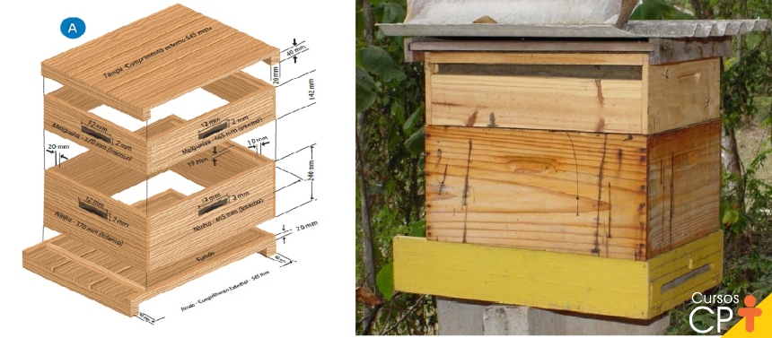 Apicultor: você conhece a colmeia Langstroth? Parte 1 | Cursos a ...