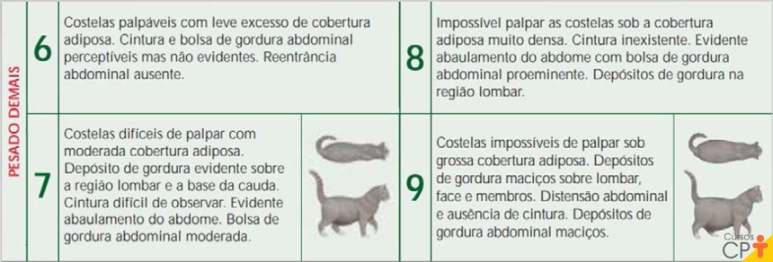 Como avaliar o escore de condição corporal em gatos? | Cursos a ...
