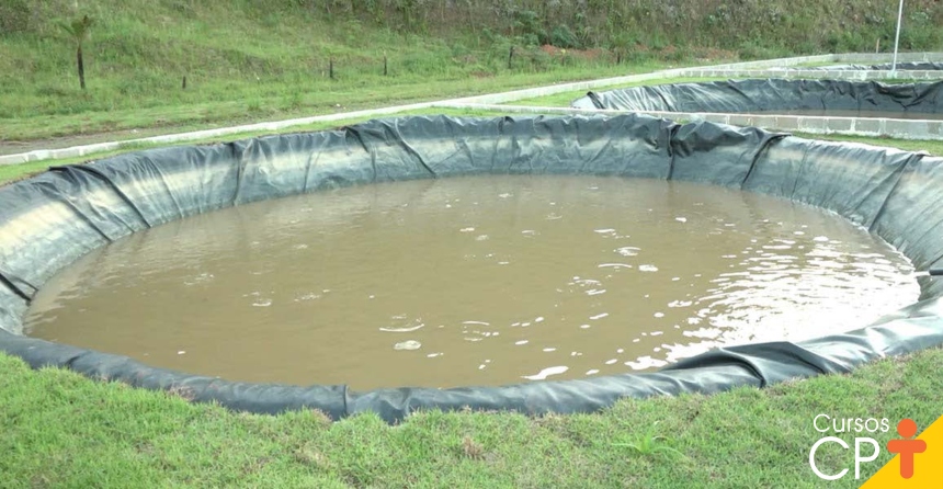 Piscicultor, qual é o melhor tanque para piscicultura? | Criação de Peixes