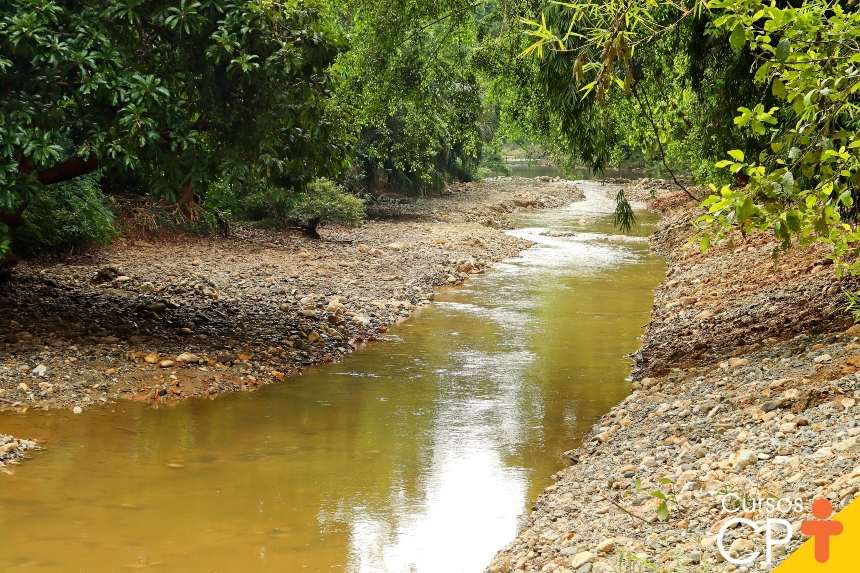 Como as nascentes se formam e qual sua importância para os rios ...
