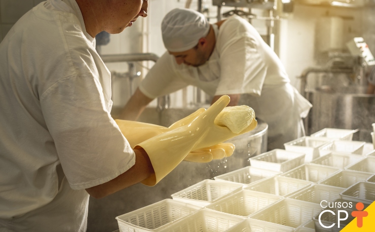 Produção de Queijo Minas Frescal, Mussarela e Gouda: técnicas e ...