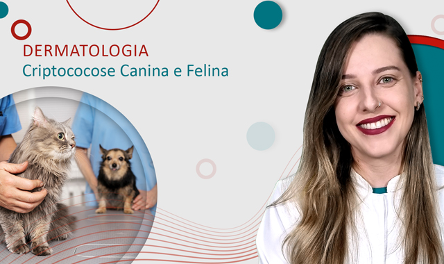 Criptococose em cães e gatos: diagnóstico, tratamento e prevenção da ...