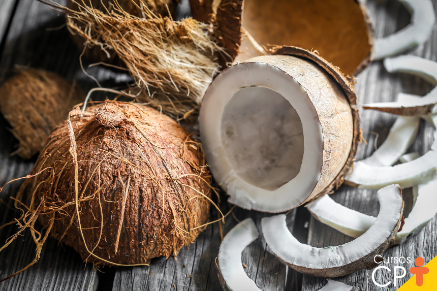 Cascas de coco são transformadas em adubo orgânico e deixam de ser ...