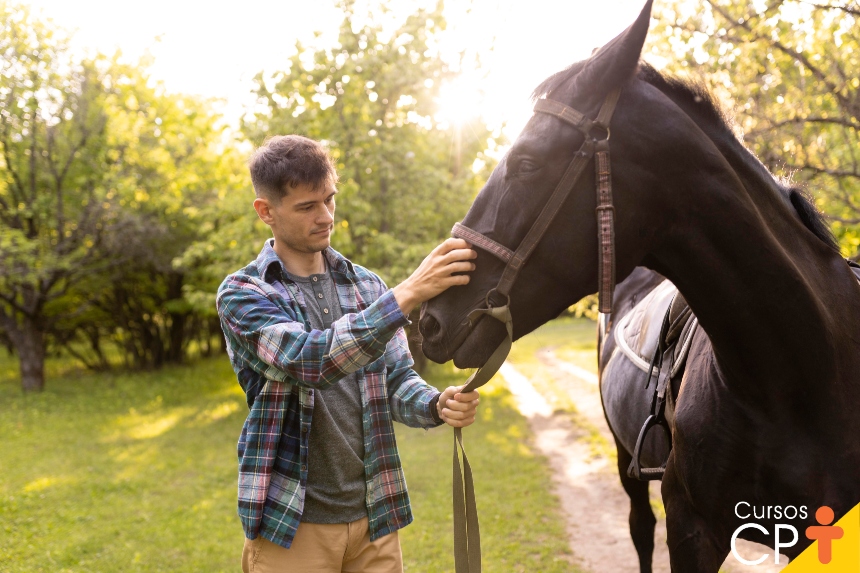 Como entender os sinais e o comportamento dos cavalos | Cursos a ...