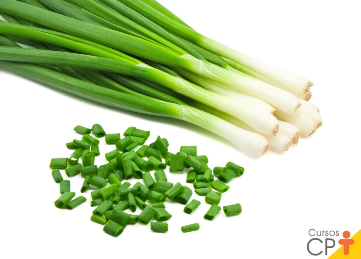 Horta: como plantar Cebolinha (Allium schoenoprasum) | Artigos | Cursos ...
