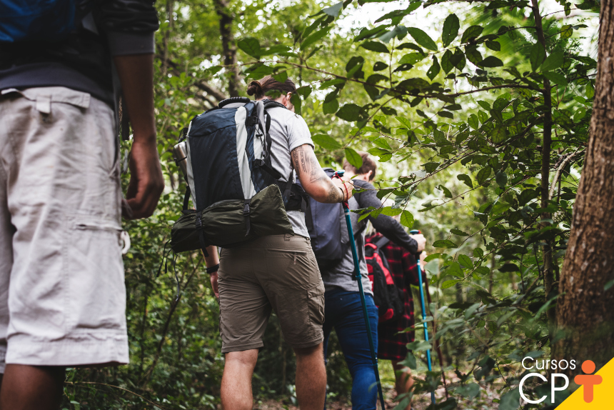 Empresas de ecoturismo unem consciência ambiental ao prazer de viajar ...