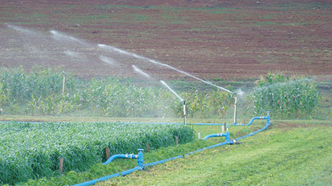 Curso Profissionalizante em Irrigação | Cursos Profissionalizantes ...